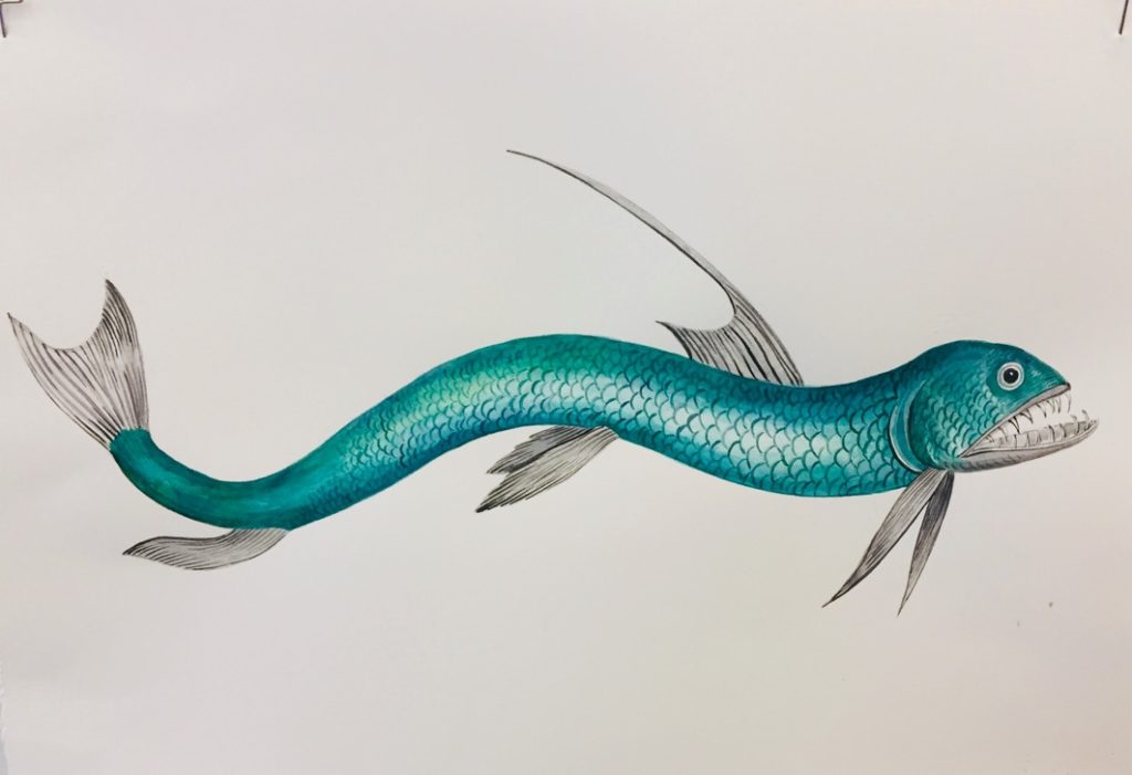 Fantasy fish and underwater deep-sea creatures. – Tulip & Roch